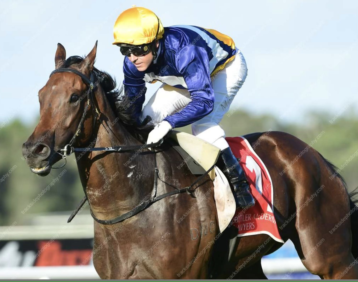 Deferential's maiden win for First Light Racing and James Healy Racing