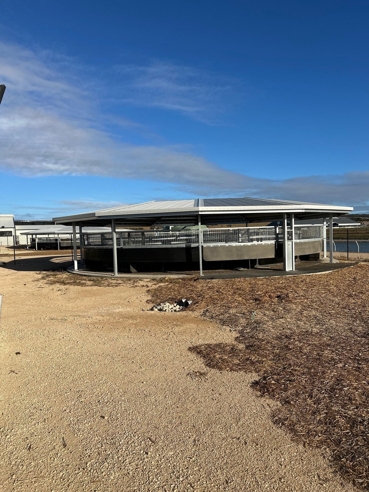 About | Stephen Theodore Racing