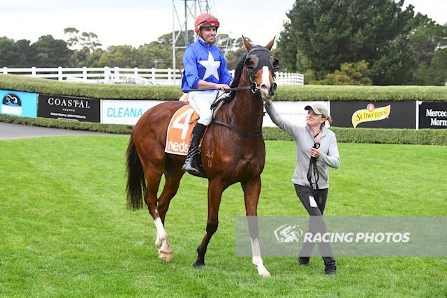 The Nephew ridden by Billy Egan returns to the mounting yard after ...