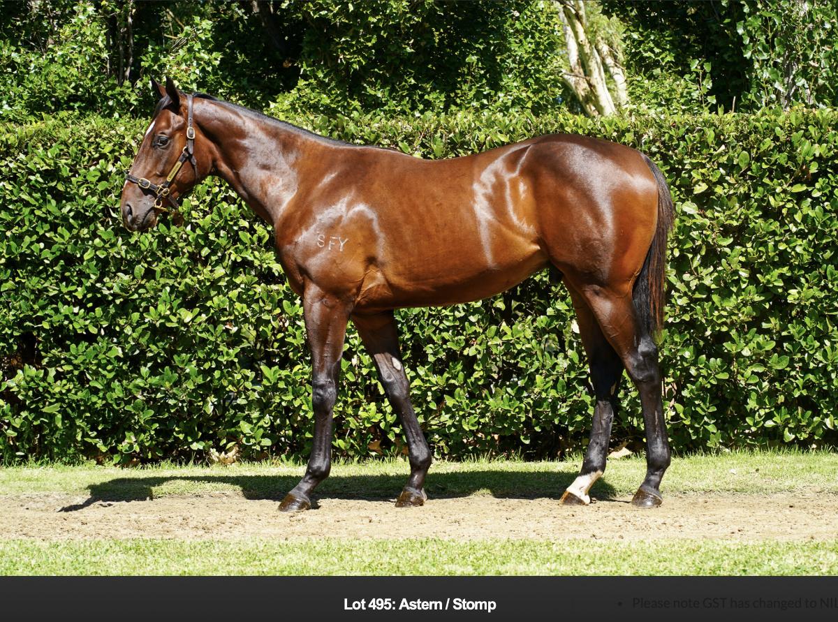 Astern / Stomp Colt