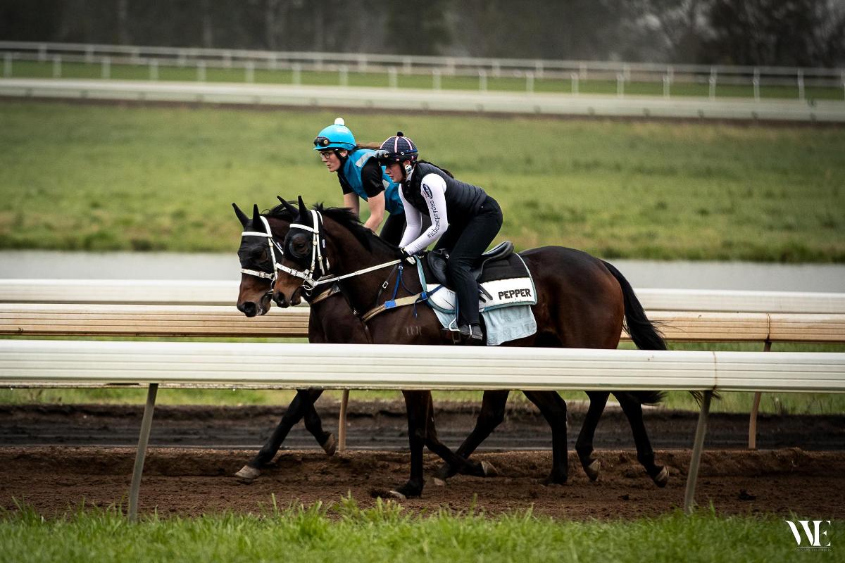 PEPPER RACING-04.jpg