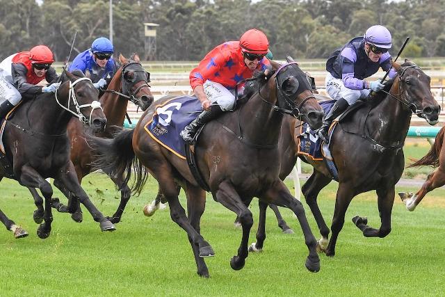 Home | Sutton Racing