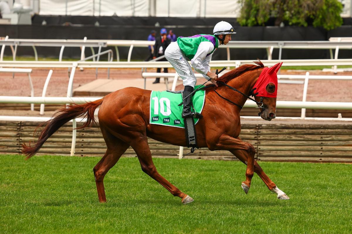 Courtesy of Racing.com