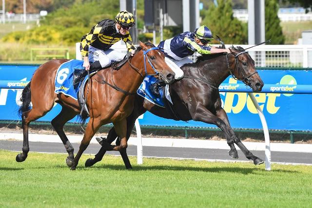 Home | Sutton Racing