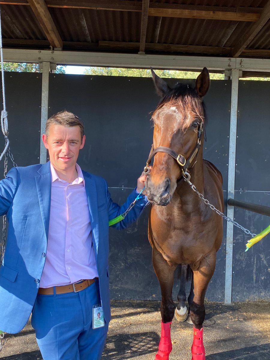 Stephen O’Halloran creates his own path with Prism | Prism