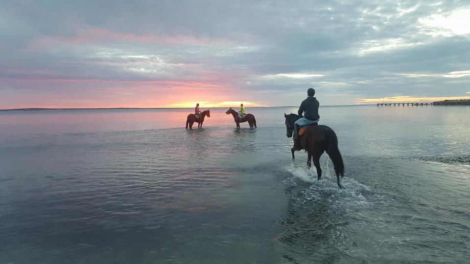 About | Carrison Racing