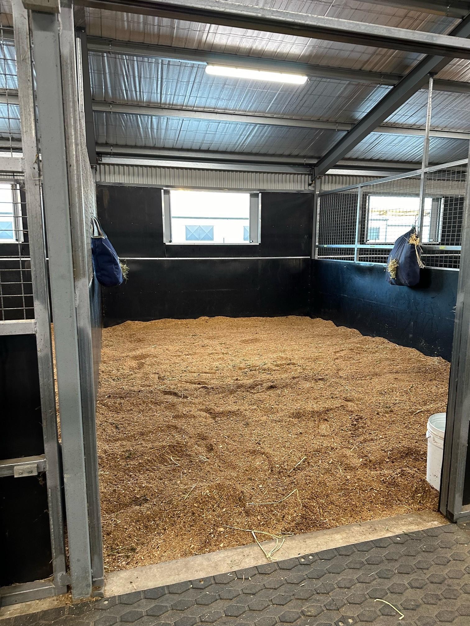 Welcome to Stephen Theodore Racing