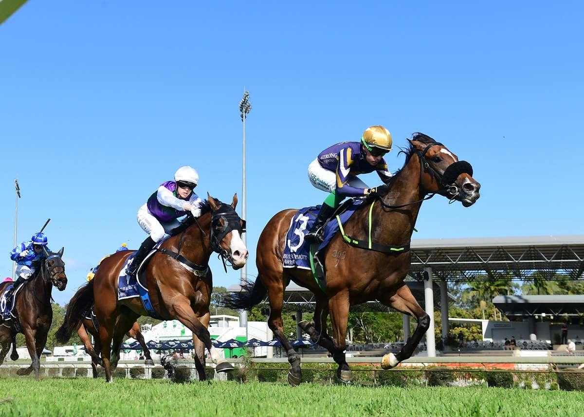 POLISHED RUBY IS A FIRST-UP FLIER