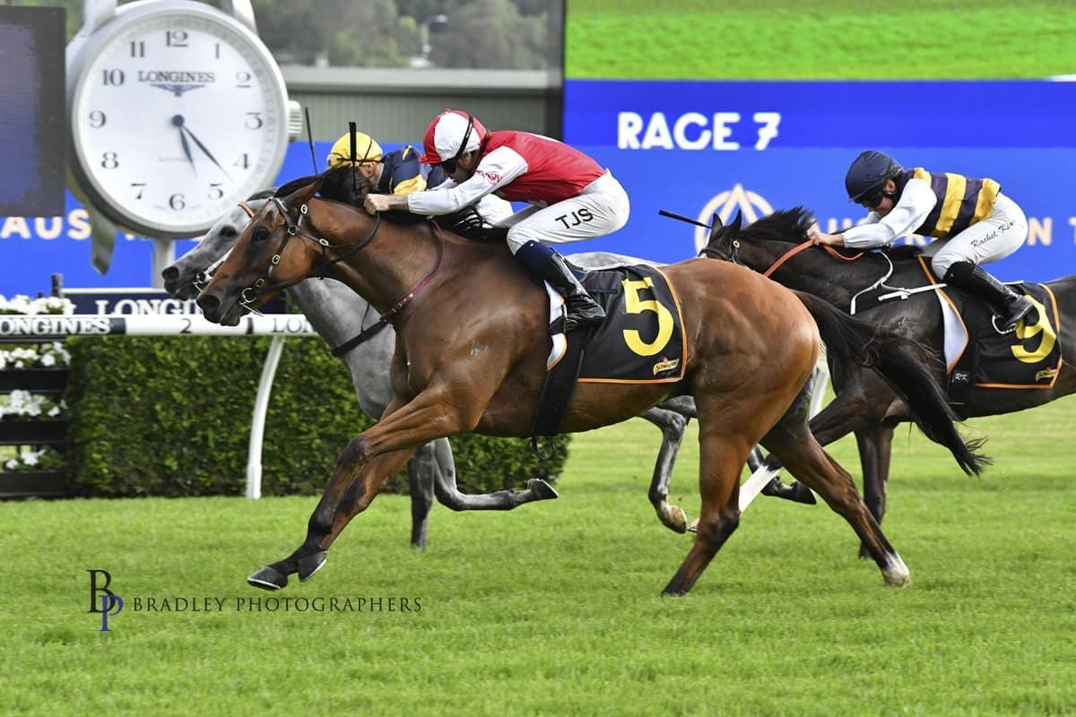 Couragous Lion Roar's In Group 3 Feature