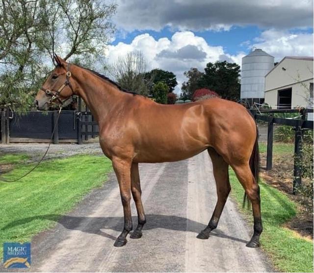 Home | Anthony Mountney Racing