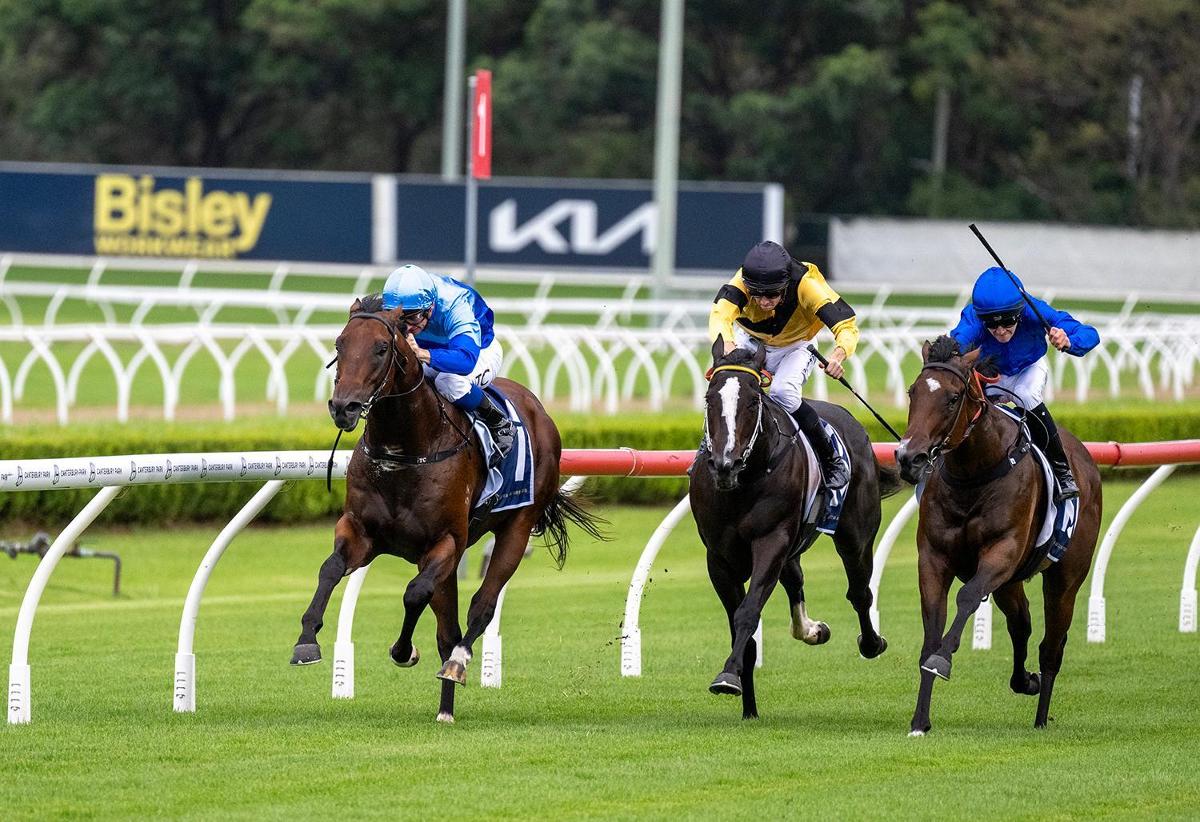 Playing By The Rules