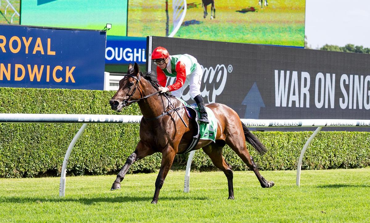 Playing By The Rules