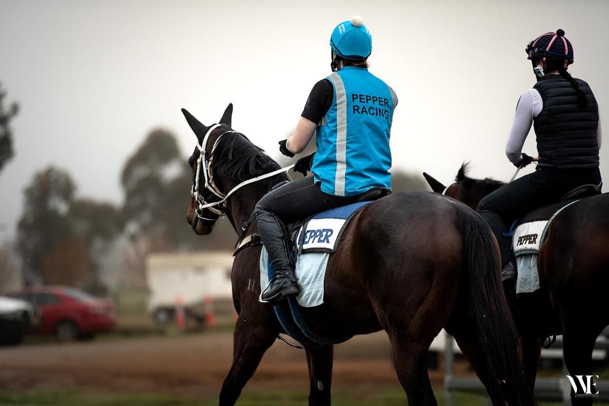 PEPPER RACING-02.jpg