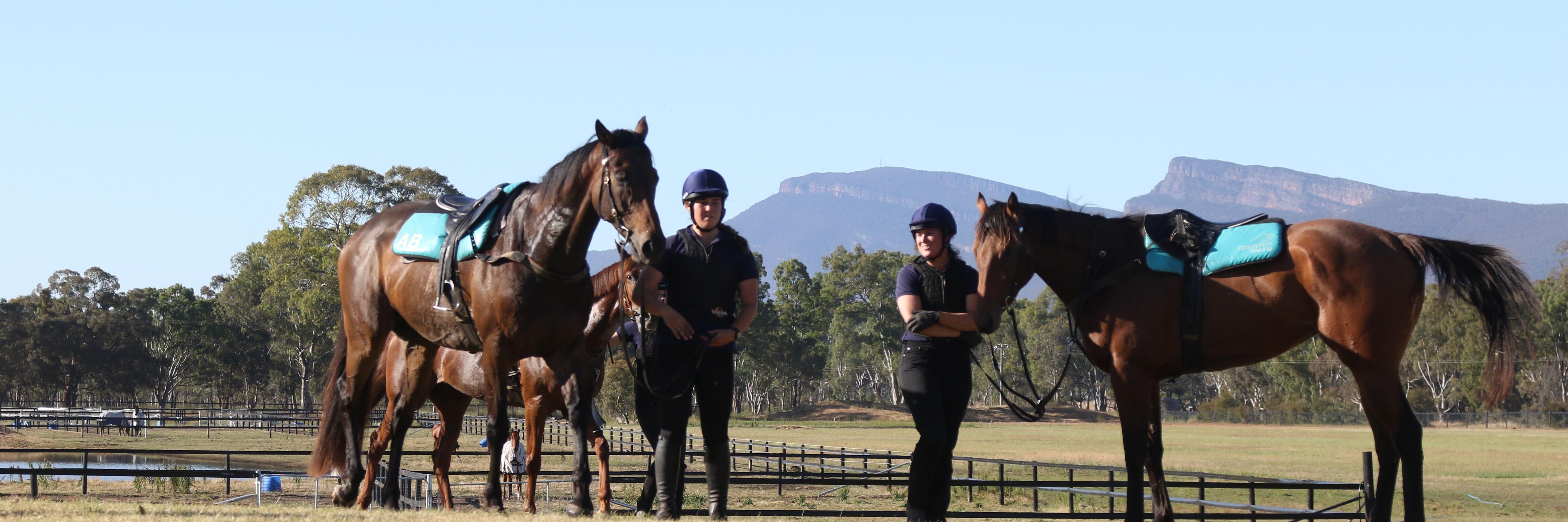 If you're seeing this message, that means JavaScript has been disabled ...