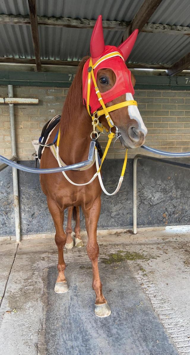 Home | Michael Travers Racing