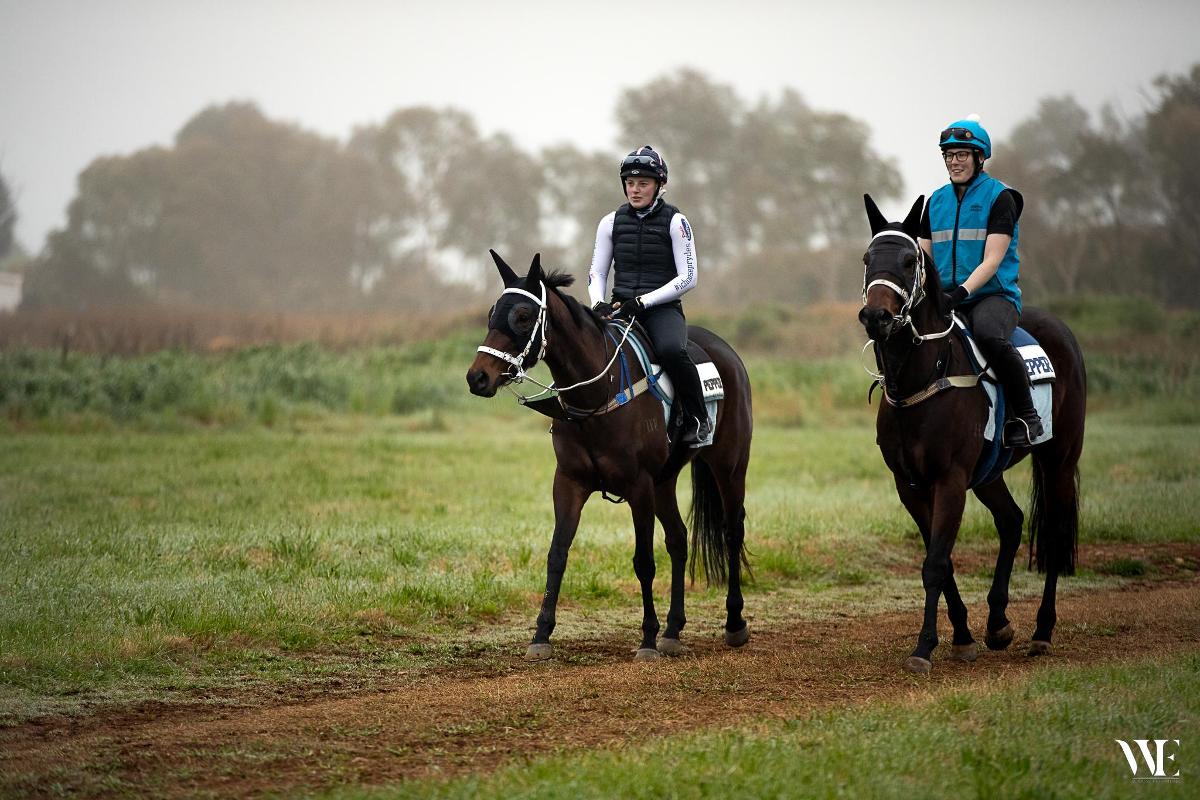 PEPPER RACING-01.jpg