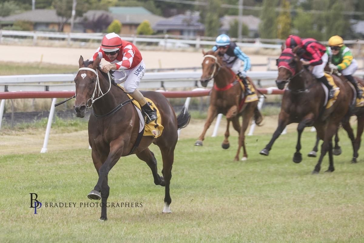 Outback Ringer grabs first win | Prism