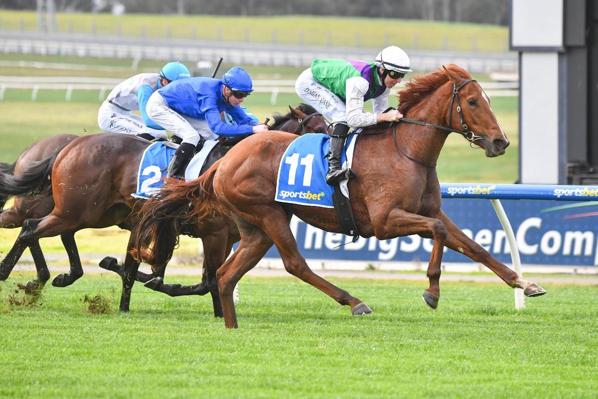 Courtesy of Racing.com