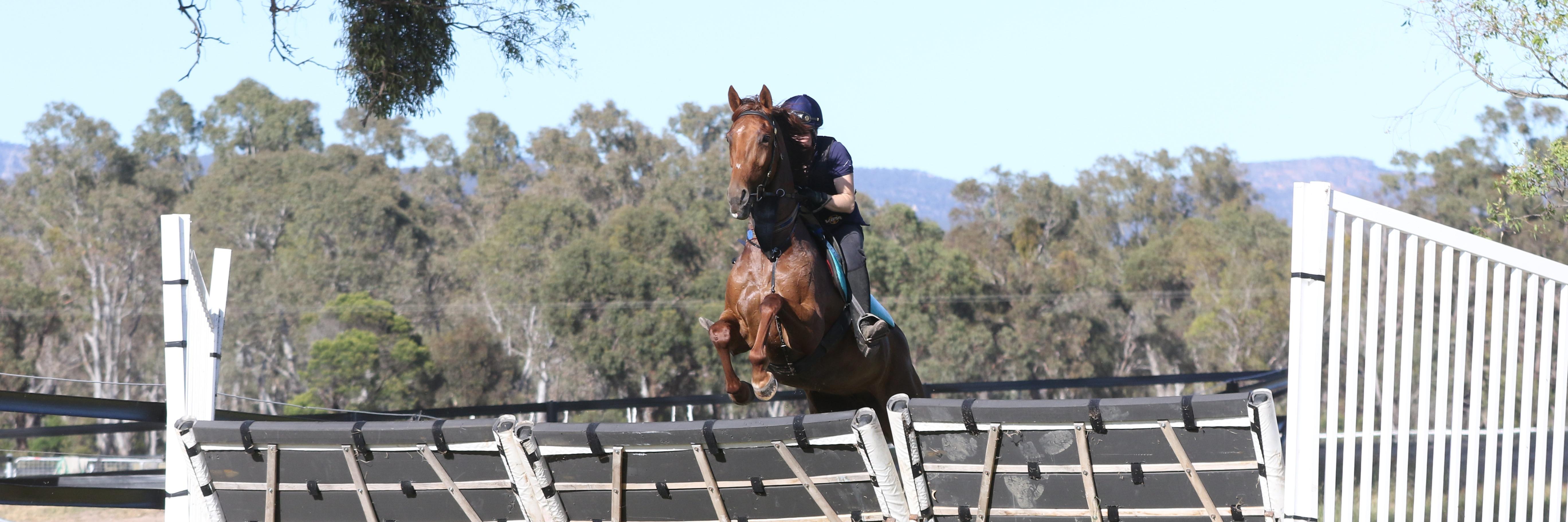 If you're seeing this message, that means JavaScript has been disabled ...