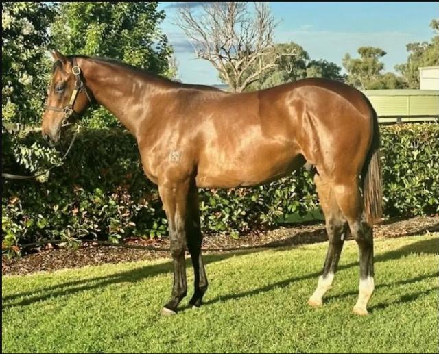 Home | Austin Racing