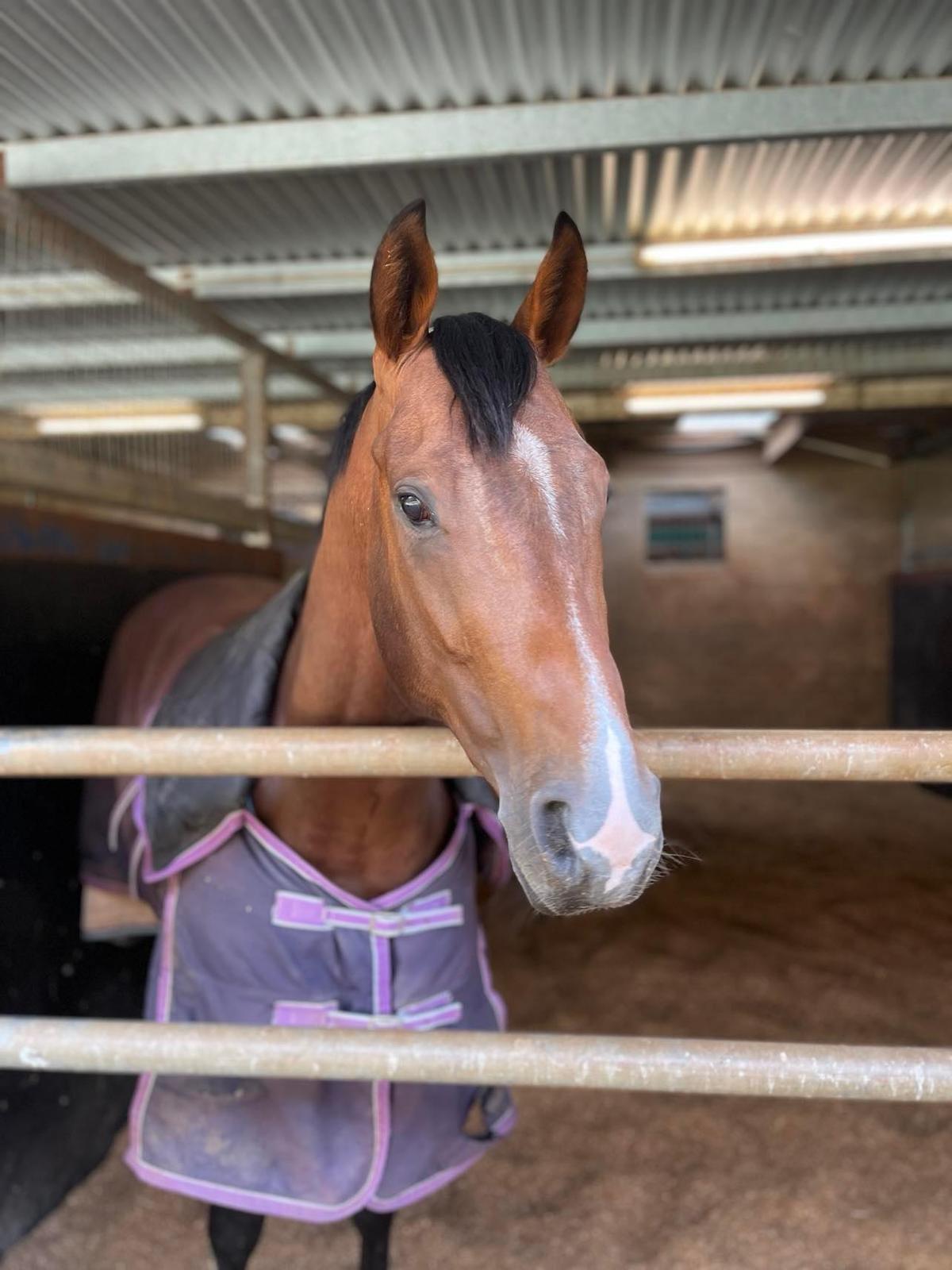 Racing Preview - 06/12/24