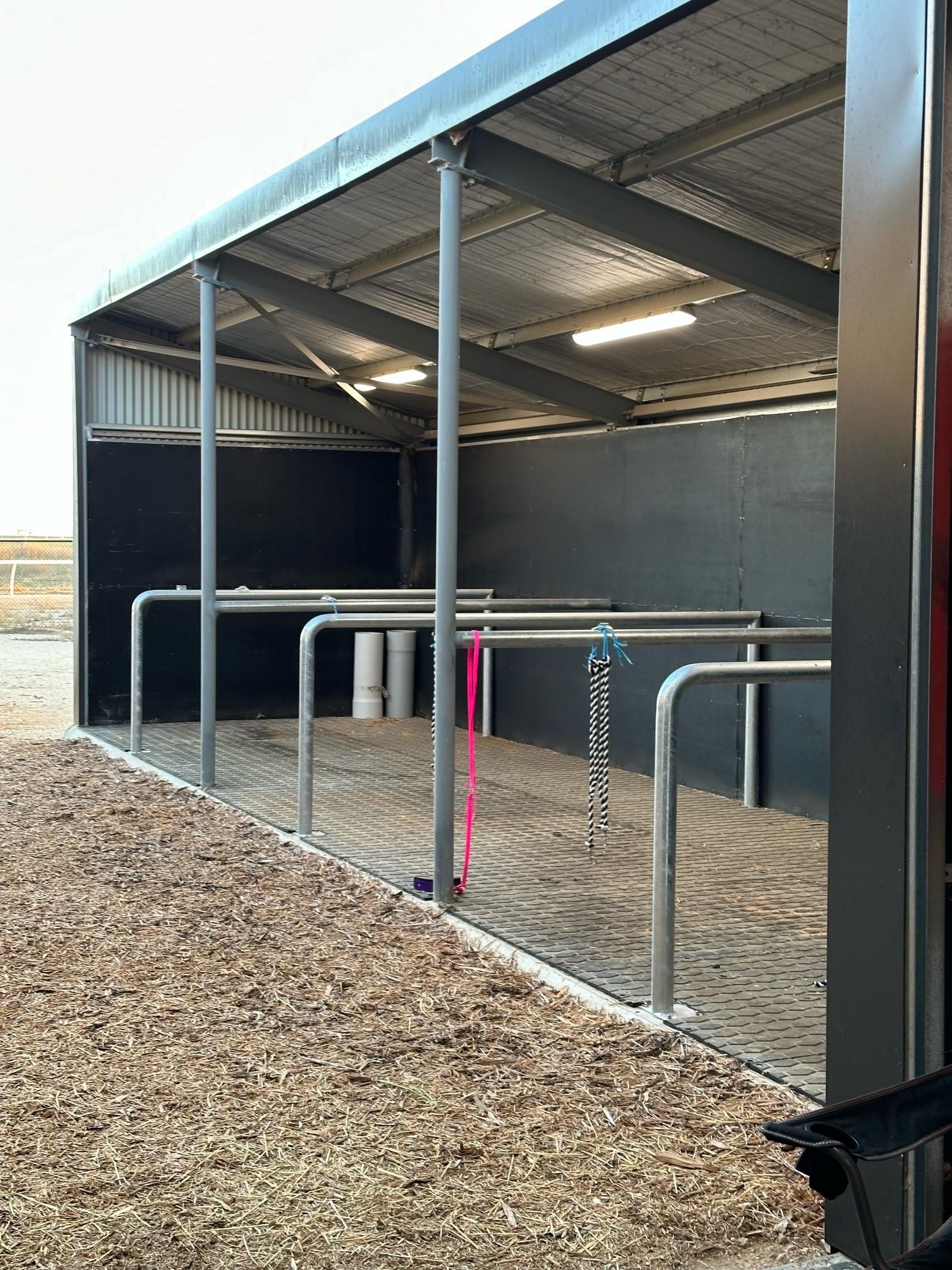 About | Stephen Theodore Racing