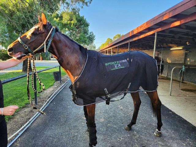 Home | Michael Travers Racing