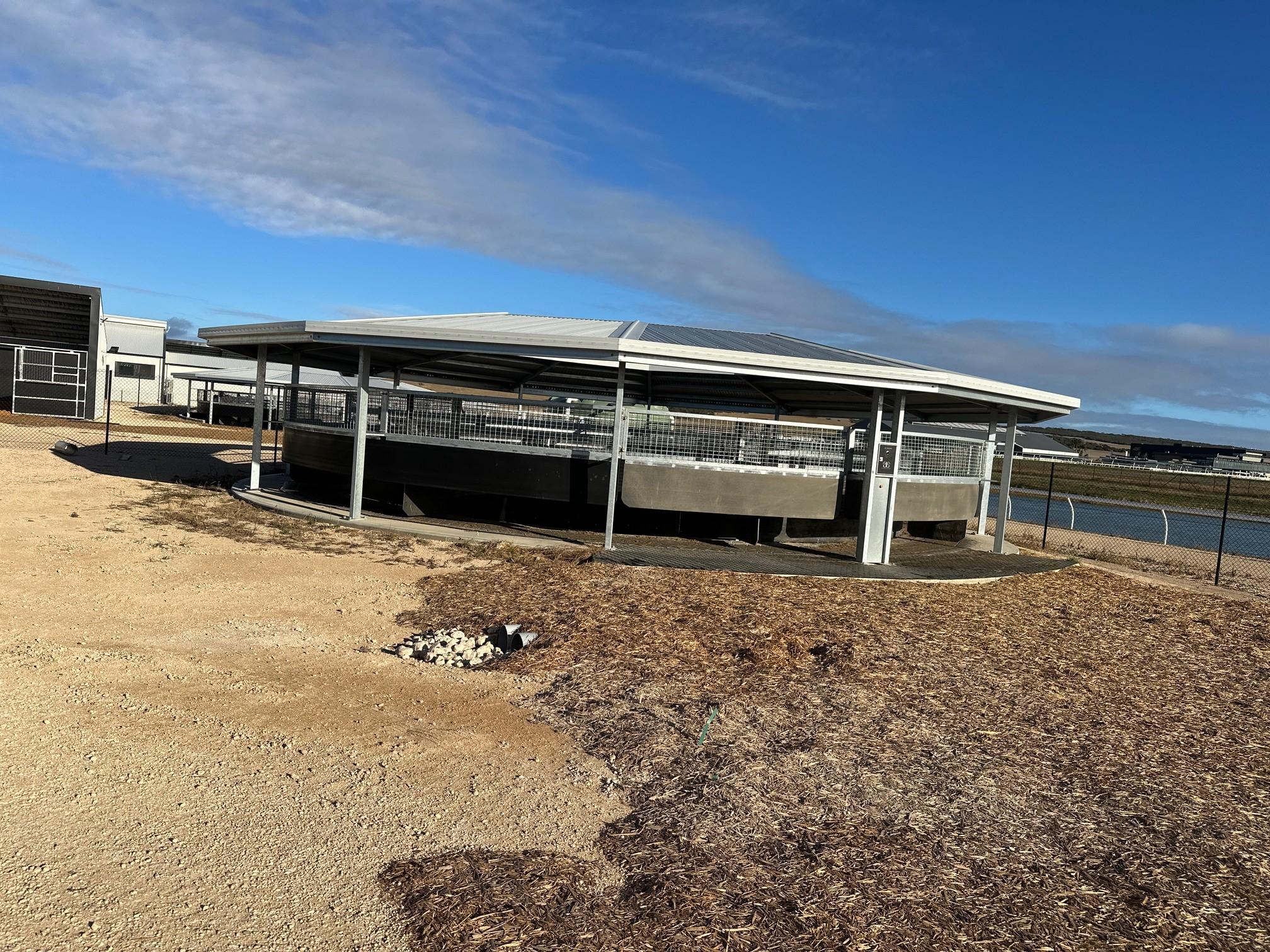 About | Stephen Theodore Racing