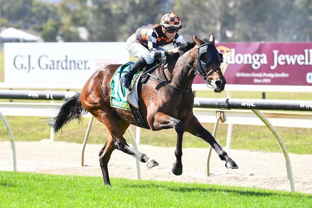 Home | Sutton Racing