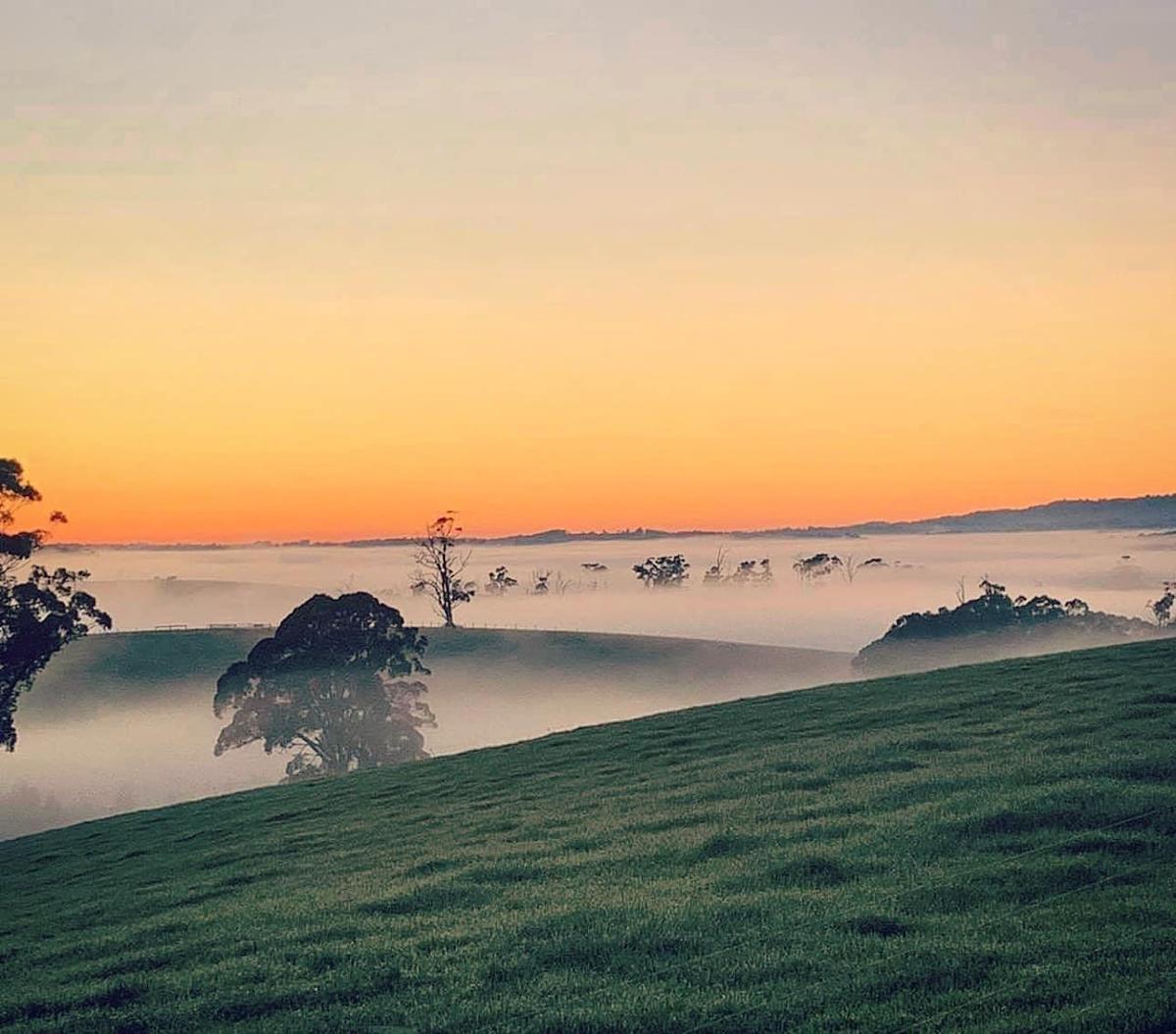 Sunrise