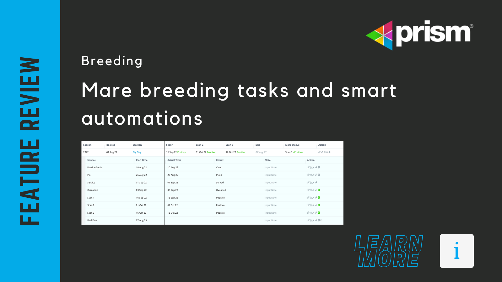 Feature Review: Mare Breeding Tasks | Prism
