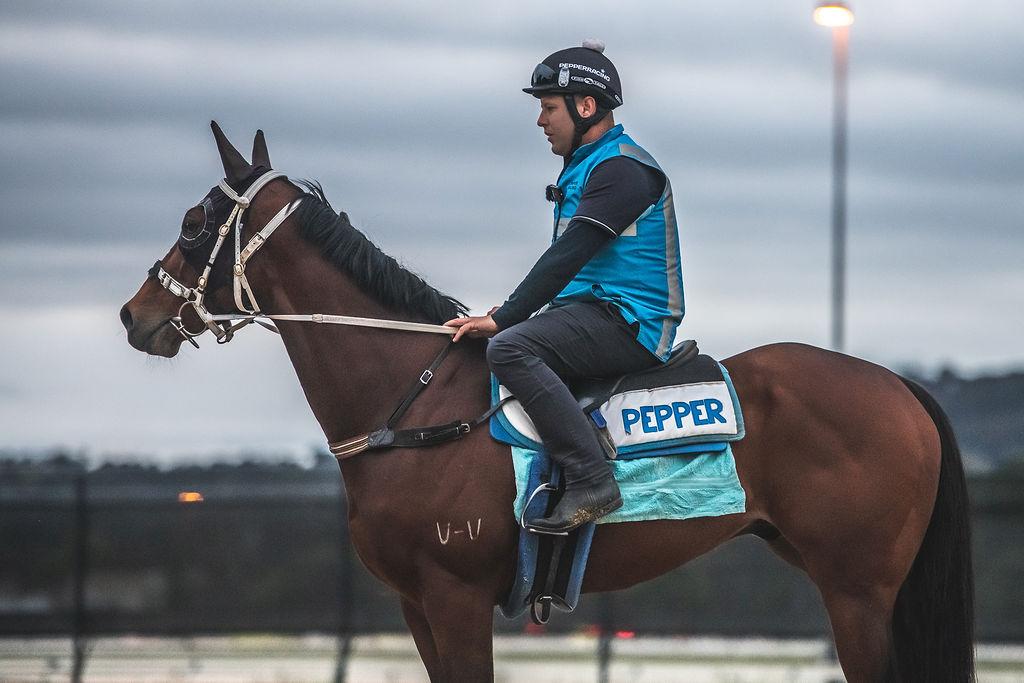 PepperRacing-1-18.jpg