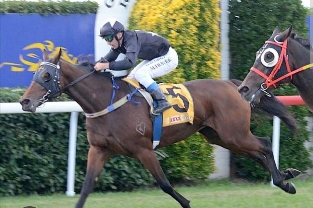 Home | Michael Travers Racing