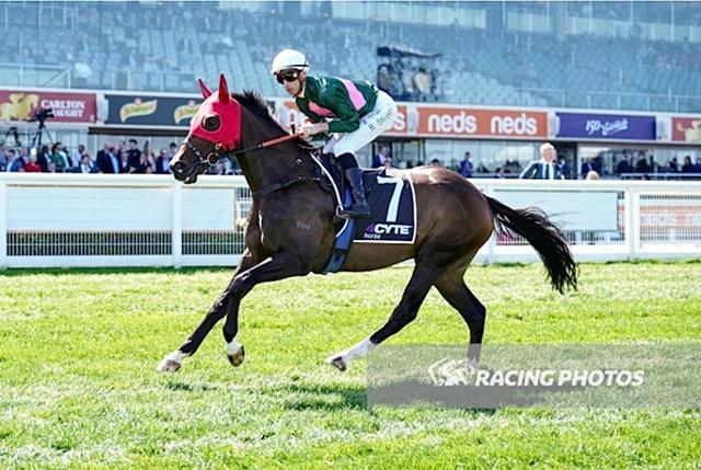 Home | Sutton Racing