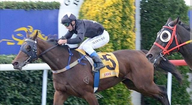 Home | Michael Travers Racing