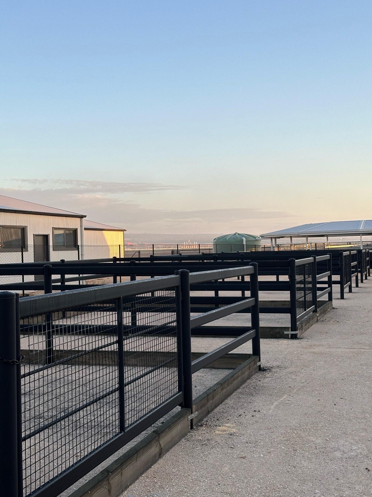 About | Stephen Theodore Racing