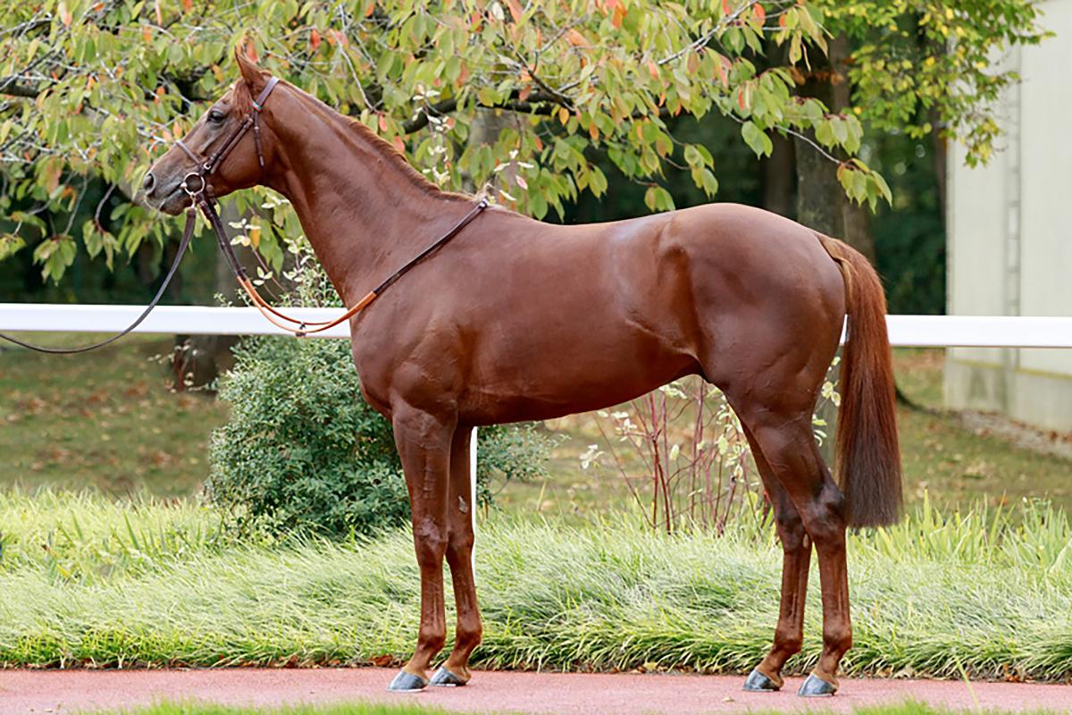 Racing Preview - 12/05/24