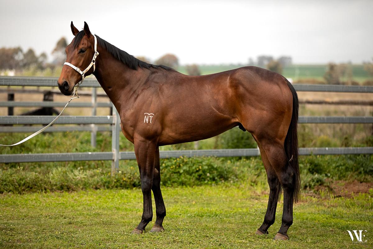 PEPPER RACING-18.jpg