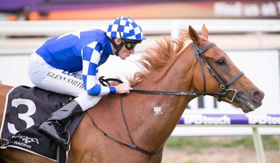 News | Hancox Bloodstock