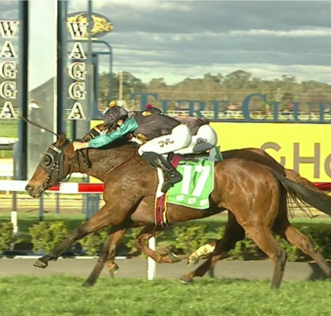 Canberra expedition ahead of MTR