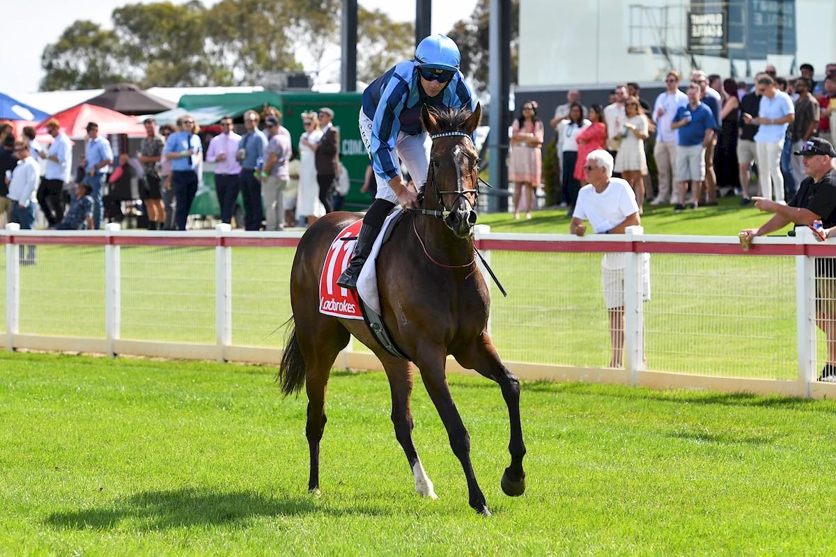 Racing Preview - 28/01/25