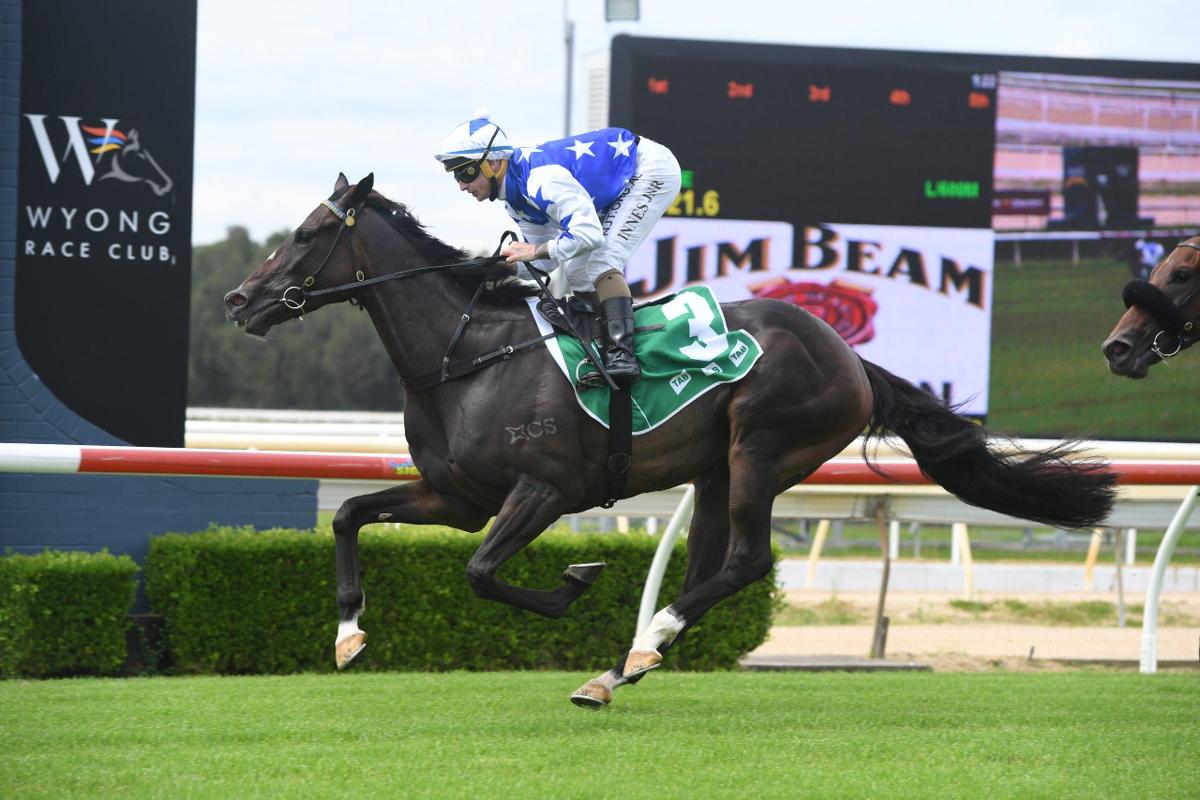 Warwick Farm Preview 12/6!