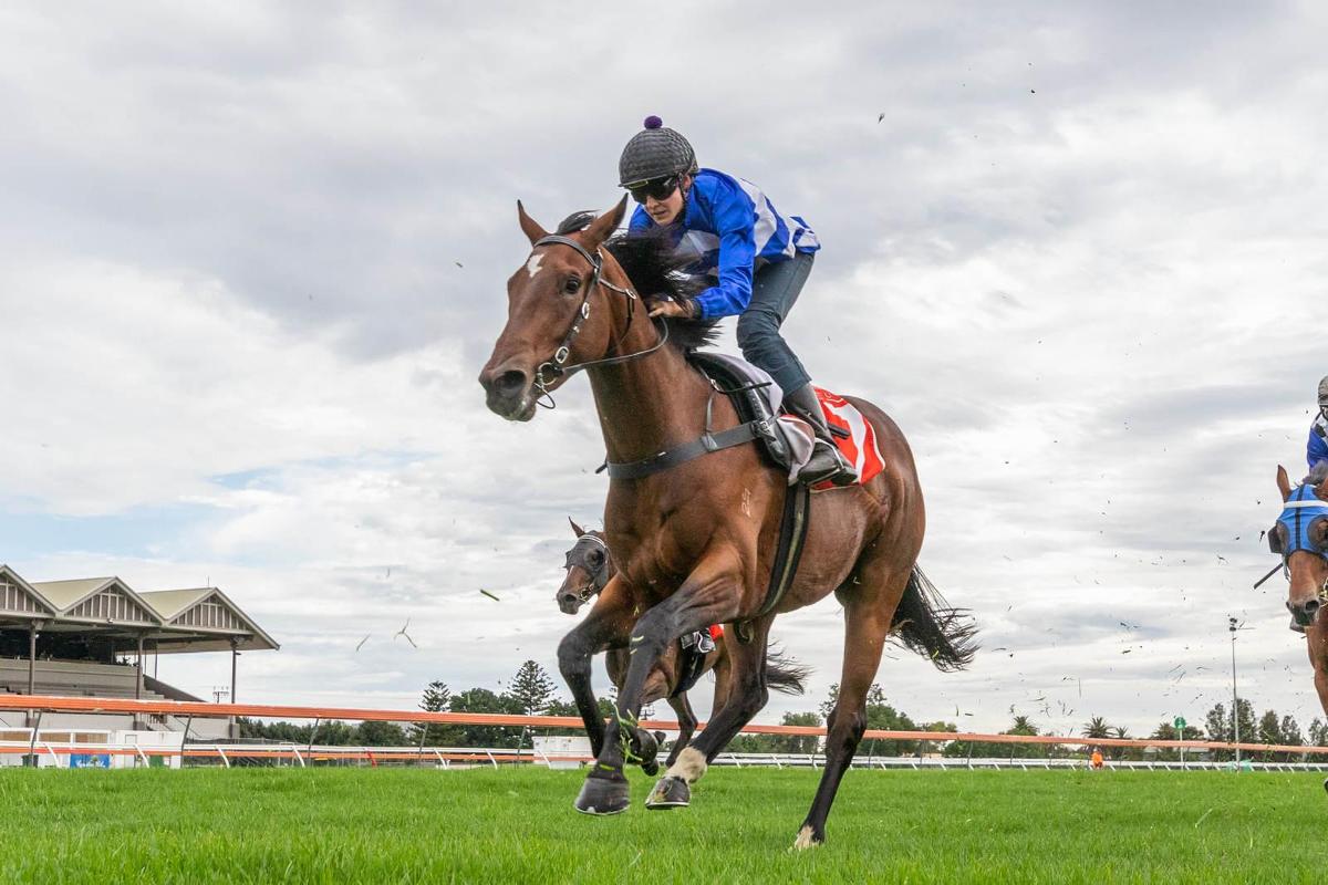 Latest News on the Prism Platform | Prism