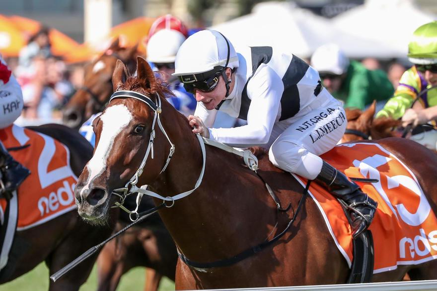 Pippie powers to Oakleigh Plate win