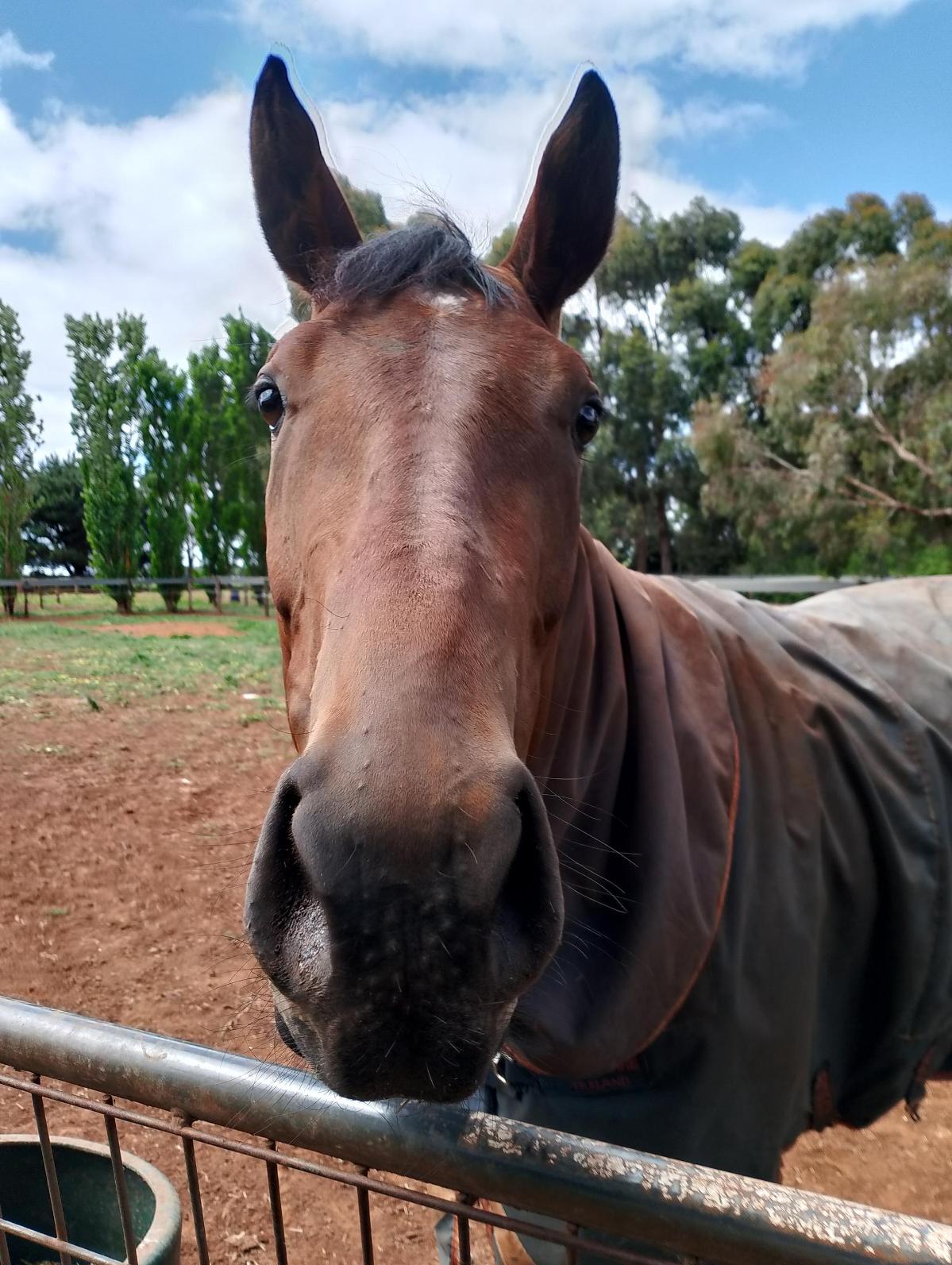 Racing Preview - 16/09/24