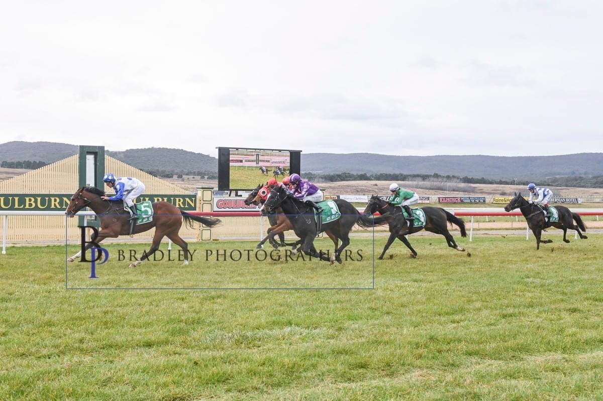Great Start with Wylie Dalziel Bloodstock!