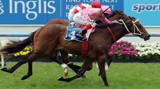 Profile | Stephen Theodore Racing