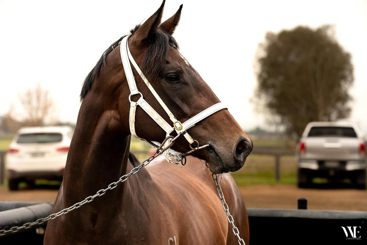 PEPPER RACING-11.jpg