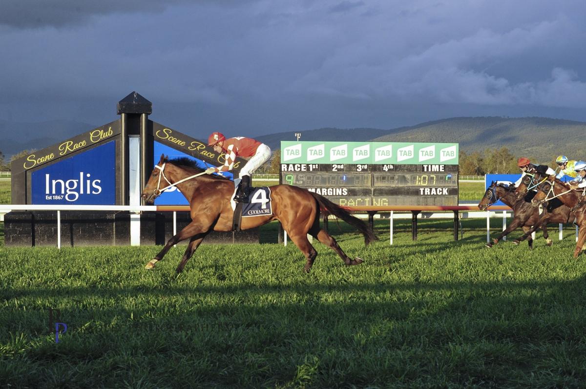 Ostracised wins at Scone | Prism