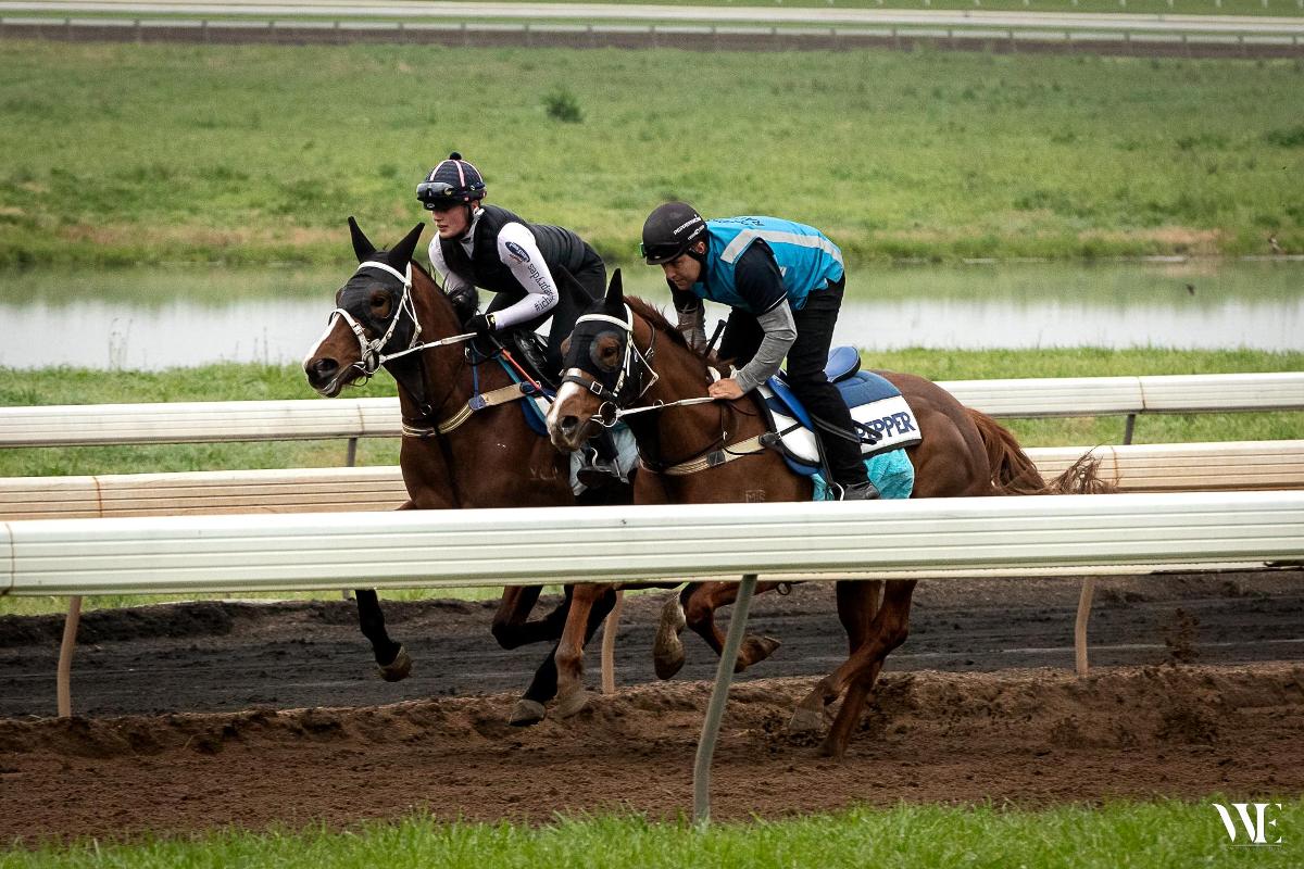 PEPPER RACING-06.jpg